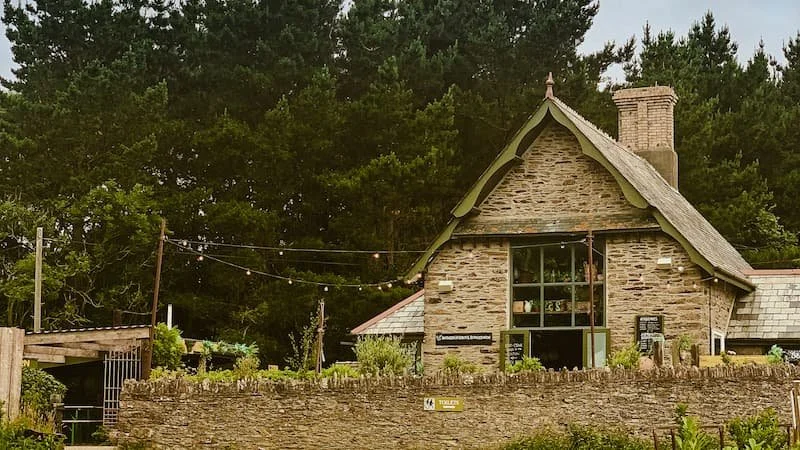 Mothecombe — The Somewhere Sauna