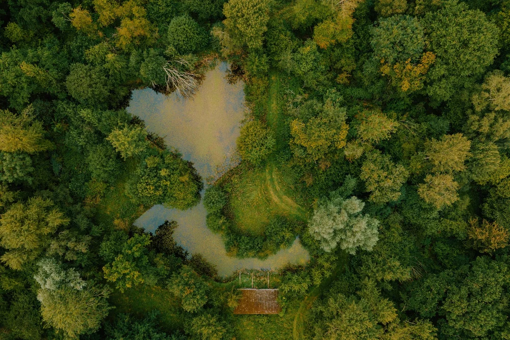 Nature Recovery Project | Norfolk | Wendling Beck