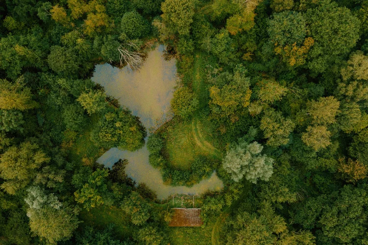 Nature Recovery Project | Norfolk | Wendling Beck