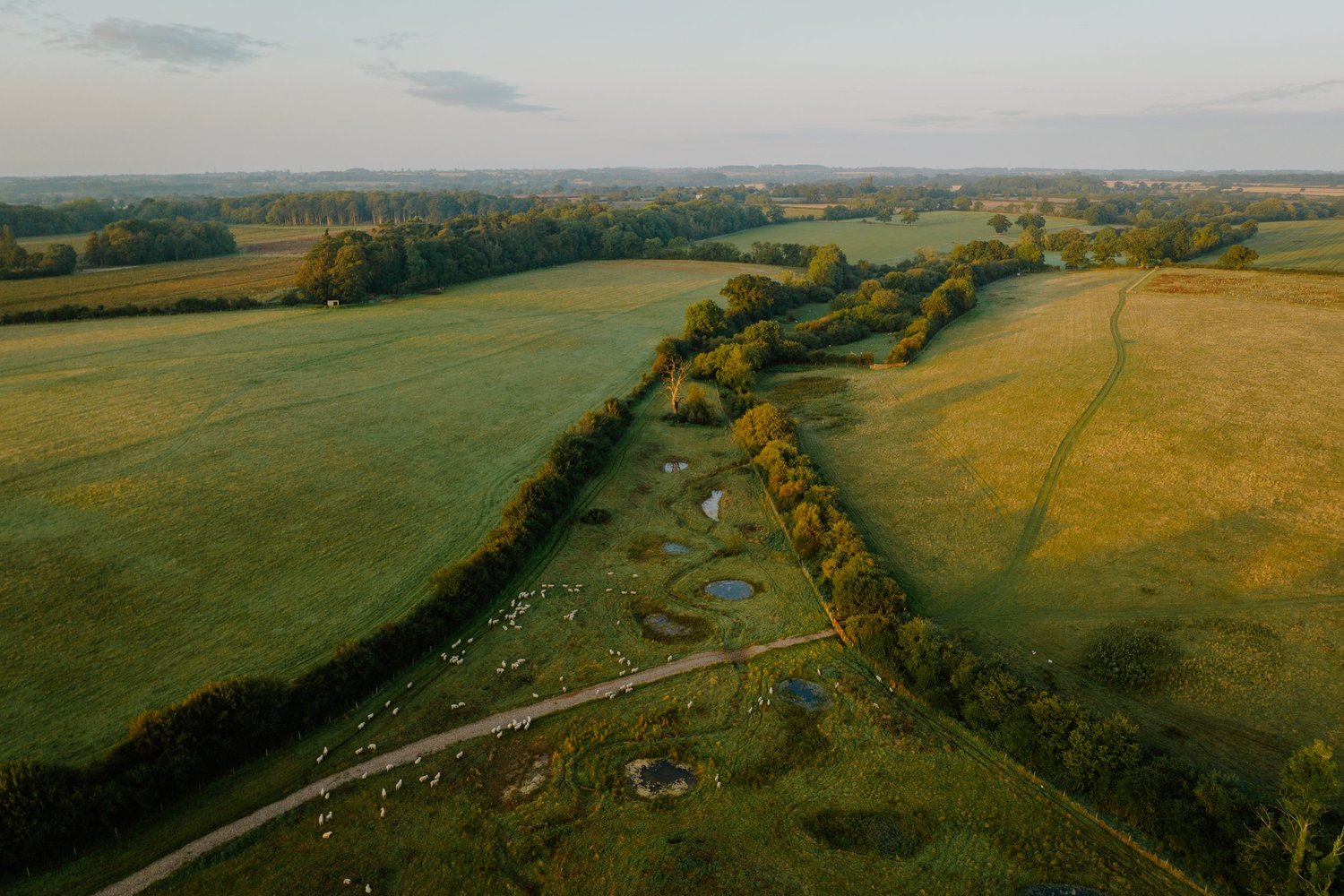 Wildscapes Cabins — Wendling Beck