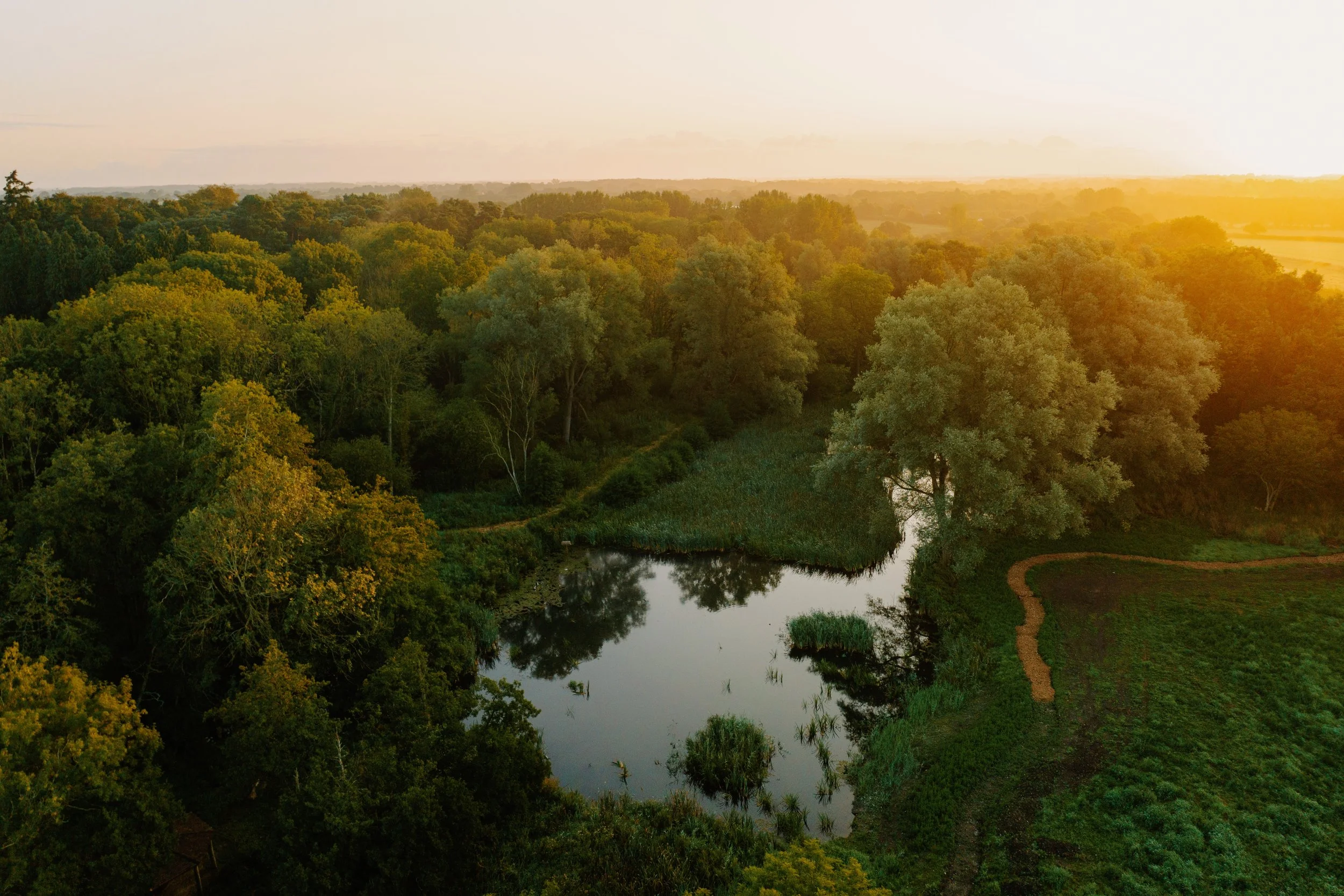 Nature Recovery Project | Norfolk | Wendling Beck