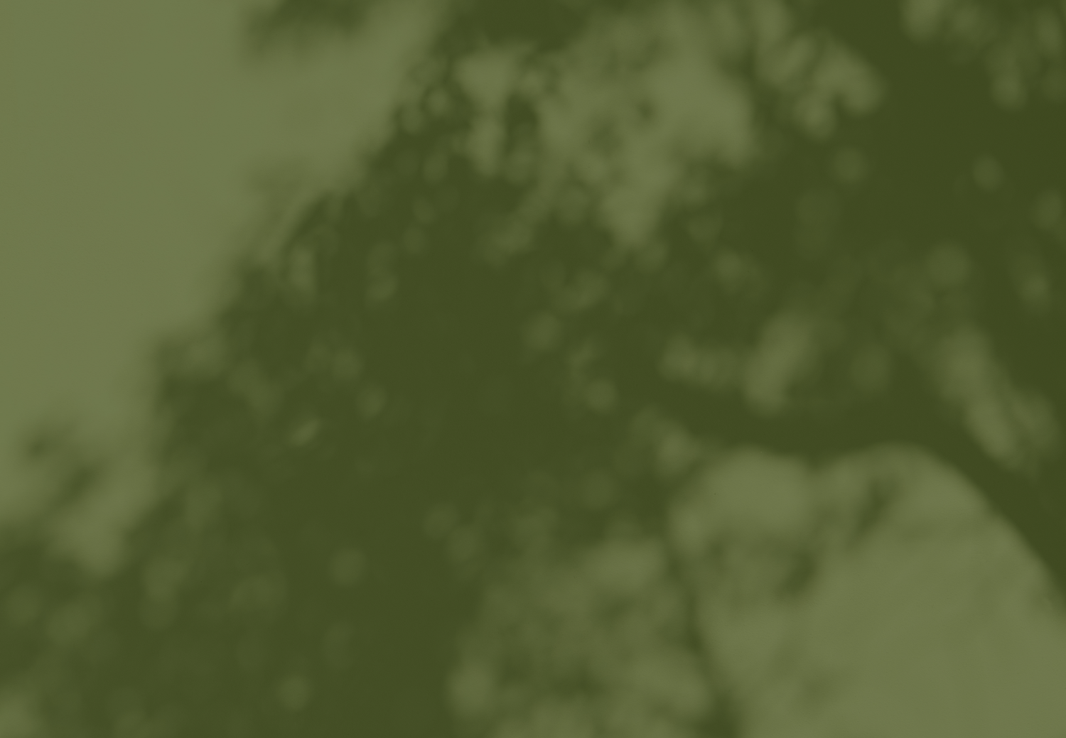 Nature Recovery Project | Norfolk | Wendling Beck