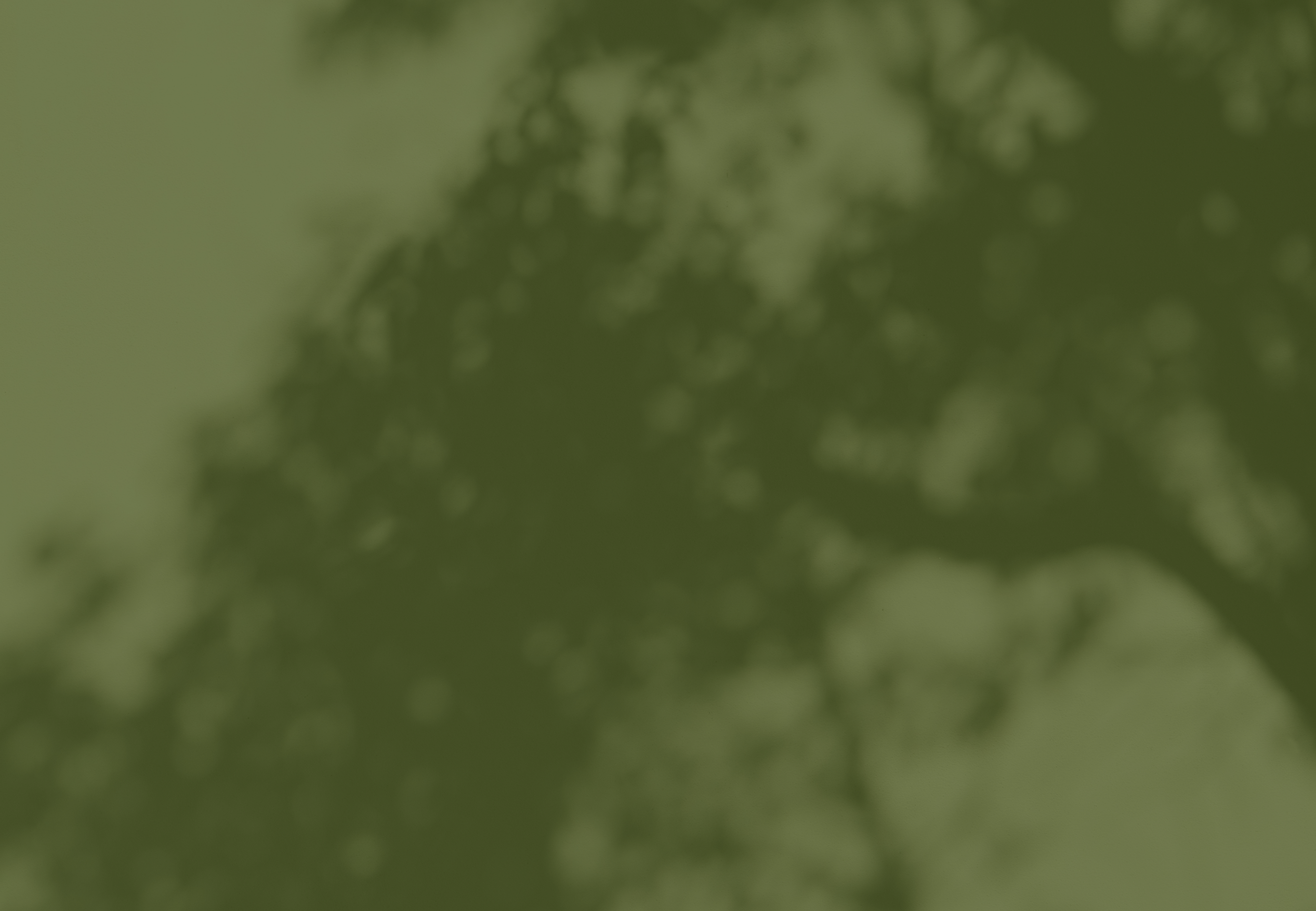 Nature Recovery Project | Norfolk | Wendling Beck