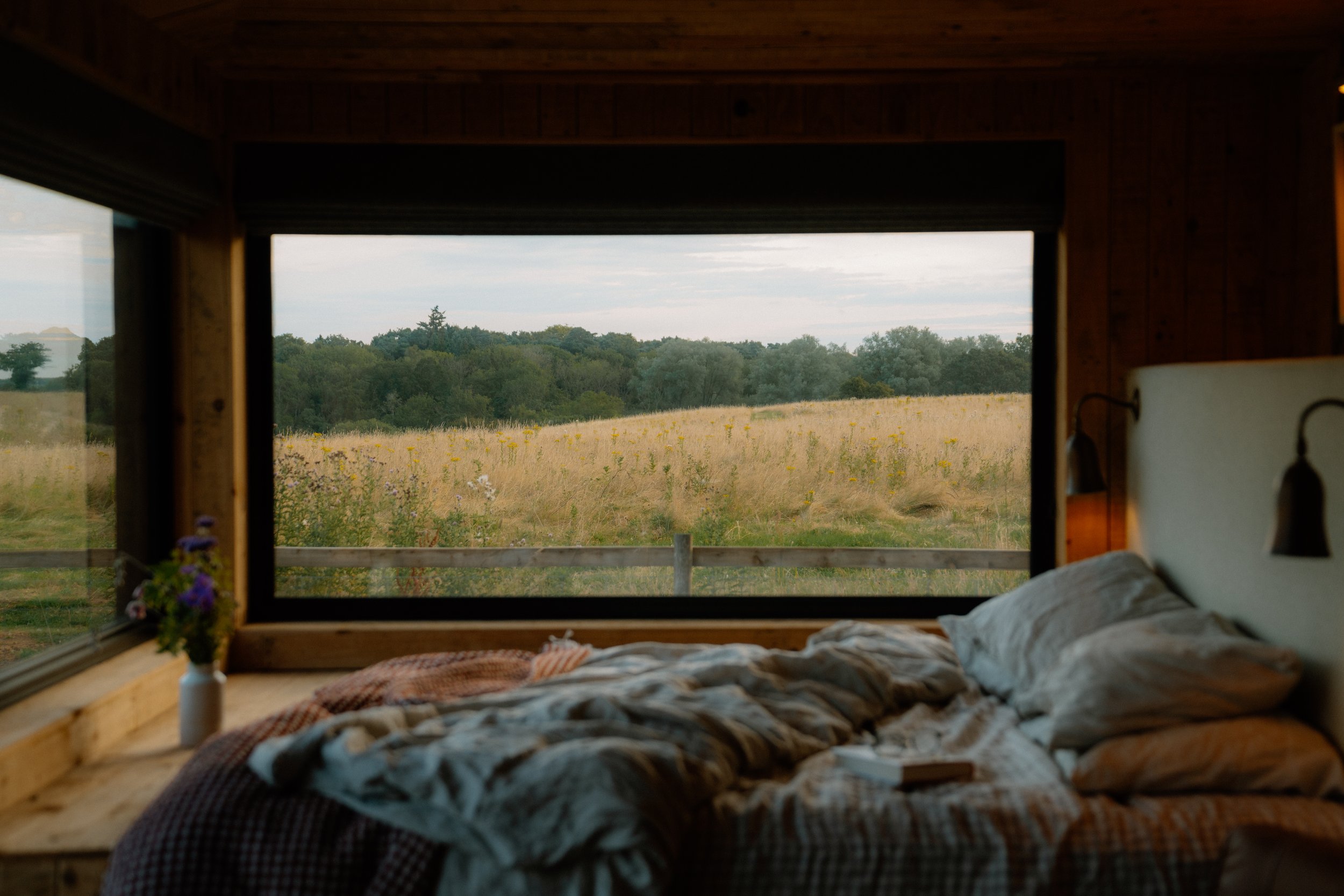 Nature Recovery Project | Norfolk | Wendling Beck