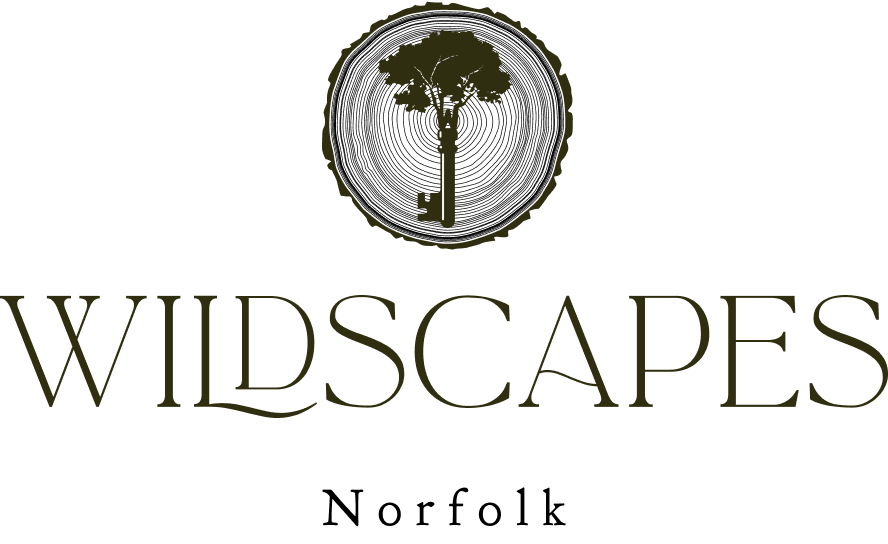 Wildscapes Cabins — Wendling Beck