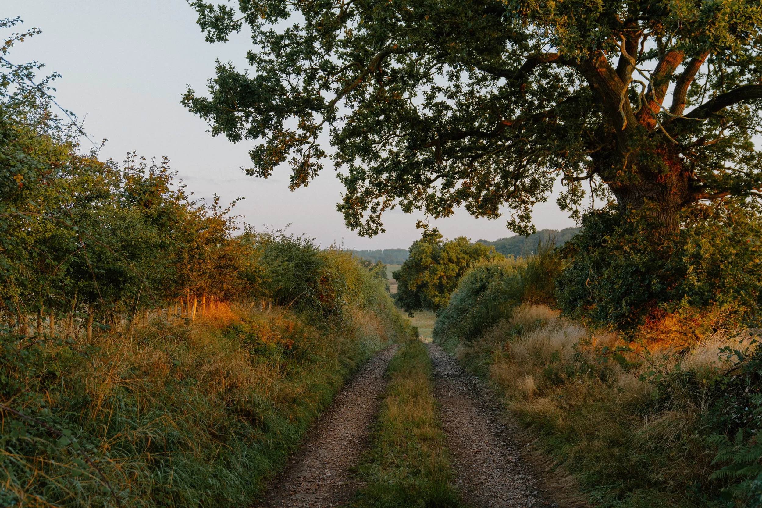 Wildscapes Cabins — Wendling Beck