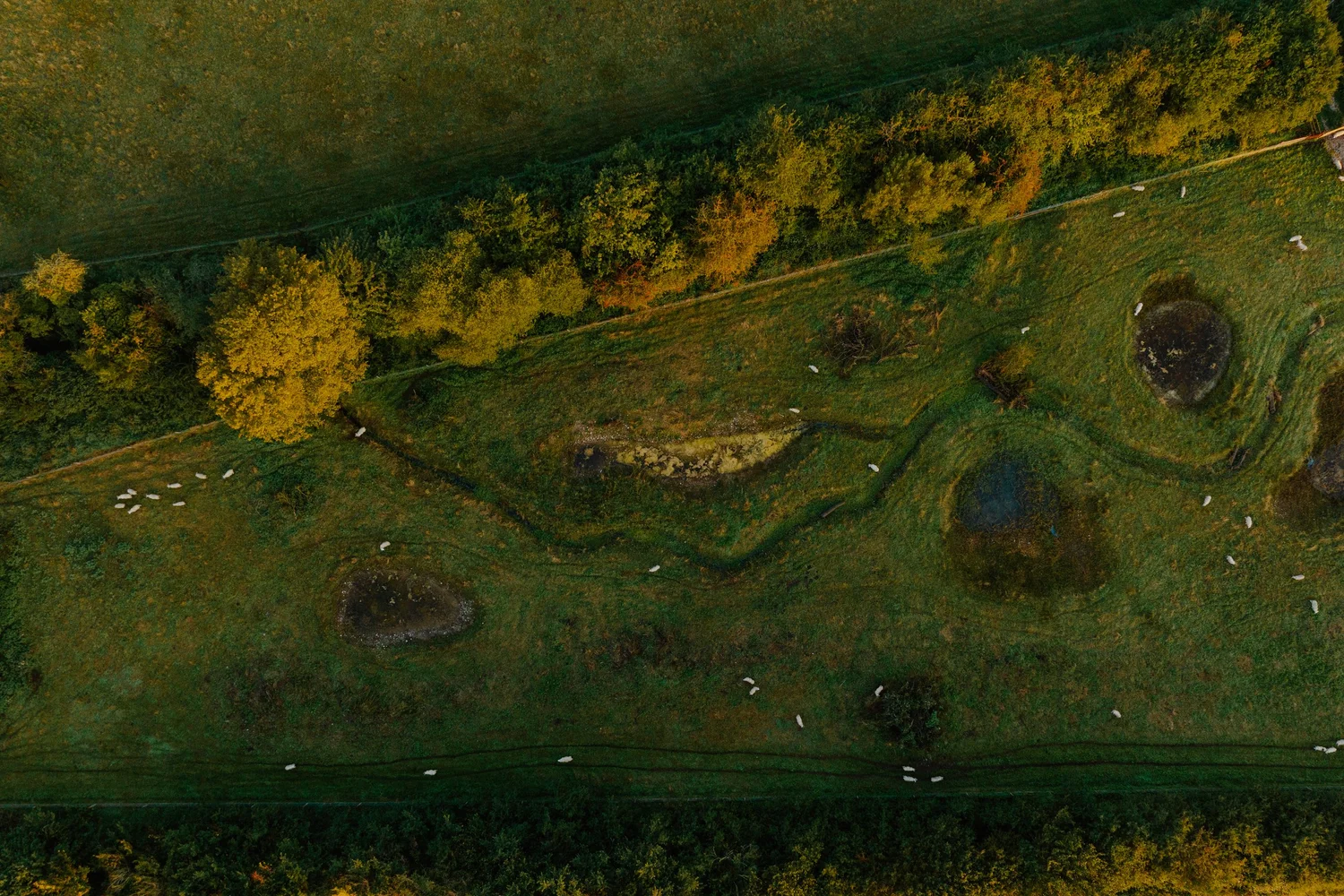 Nutrient Neutrality Planning | Norfolk | Wendling Beck