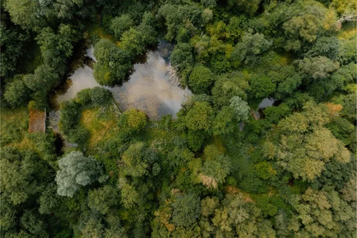 Nature Recovery Project | Norfolk | Wendling Beck