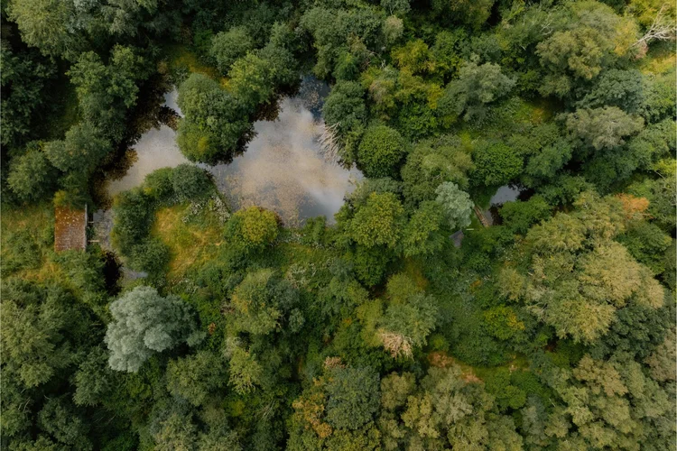 Nature Recovery Project | Norfolk | Wendling Beck