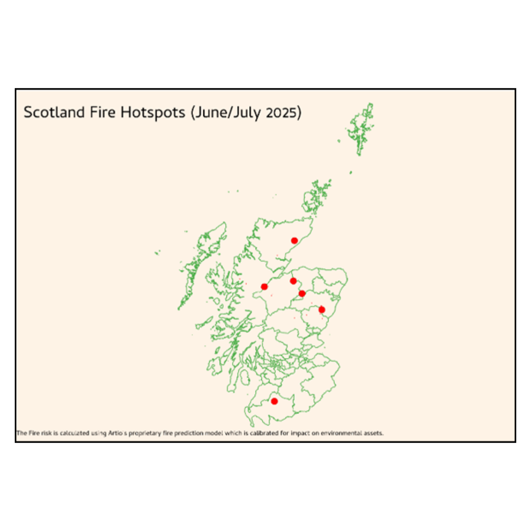 New analysis pinpoints wildfire risks threatening Scotland’s woodlands ...