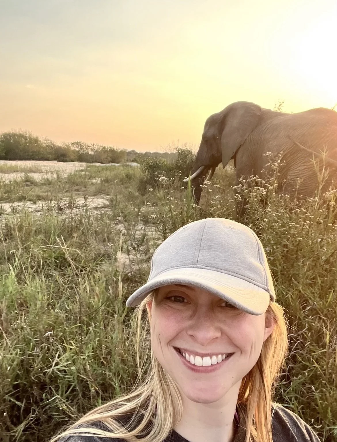 Meet the team — sarahwlee