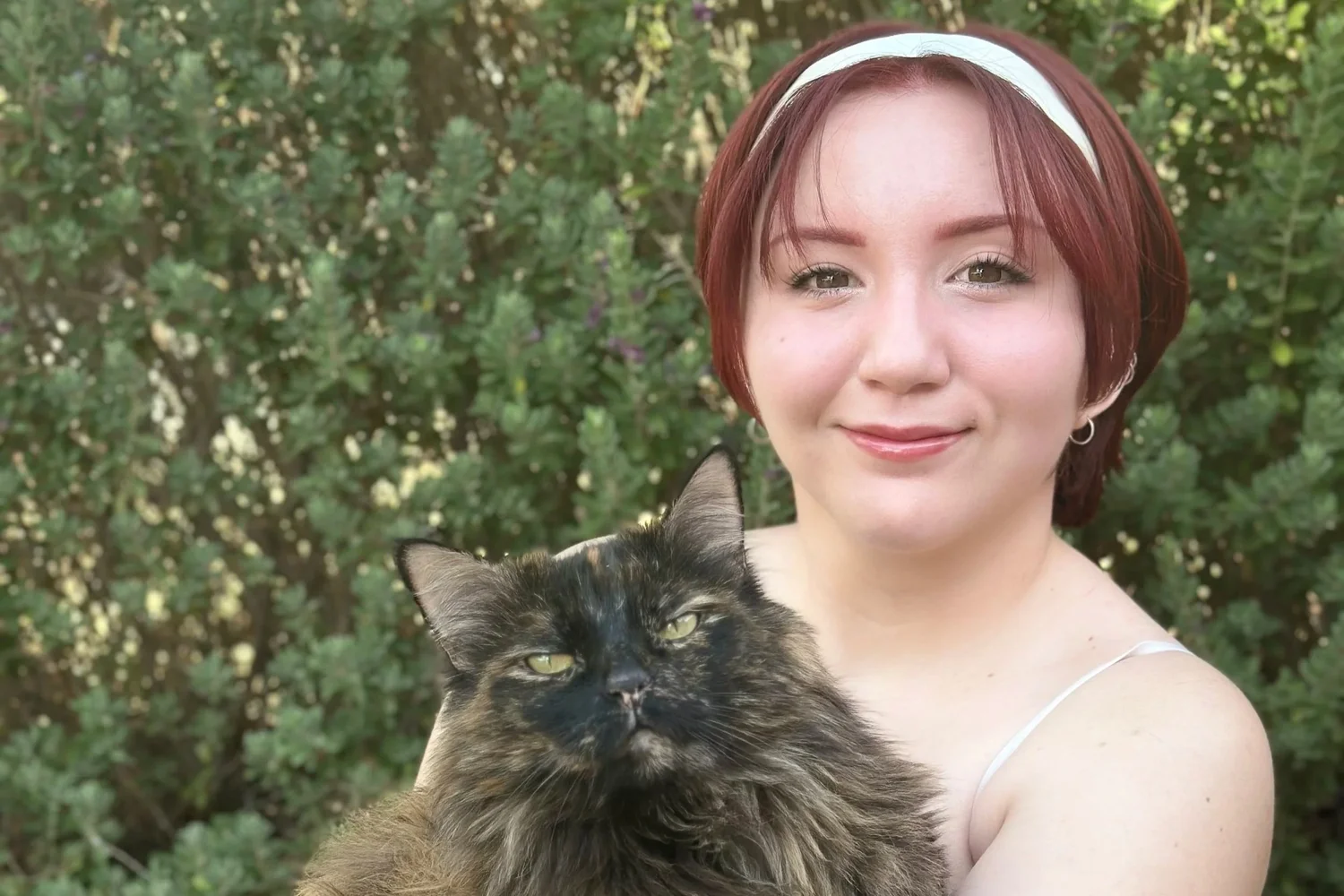 Meet the team — sarahwlee