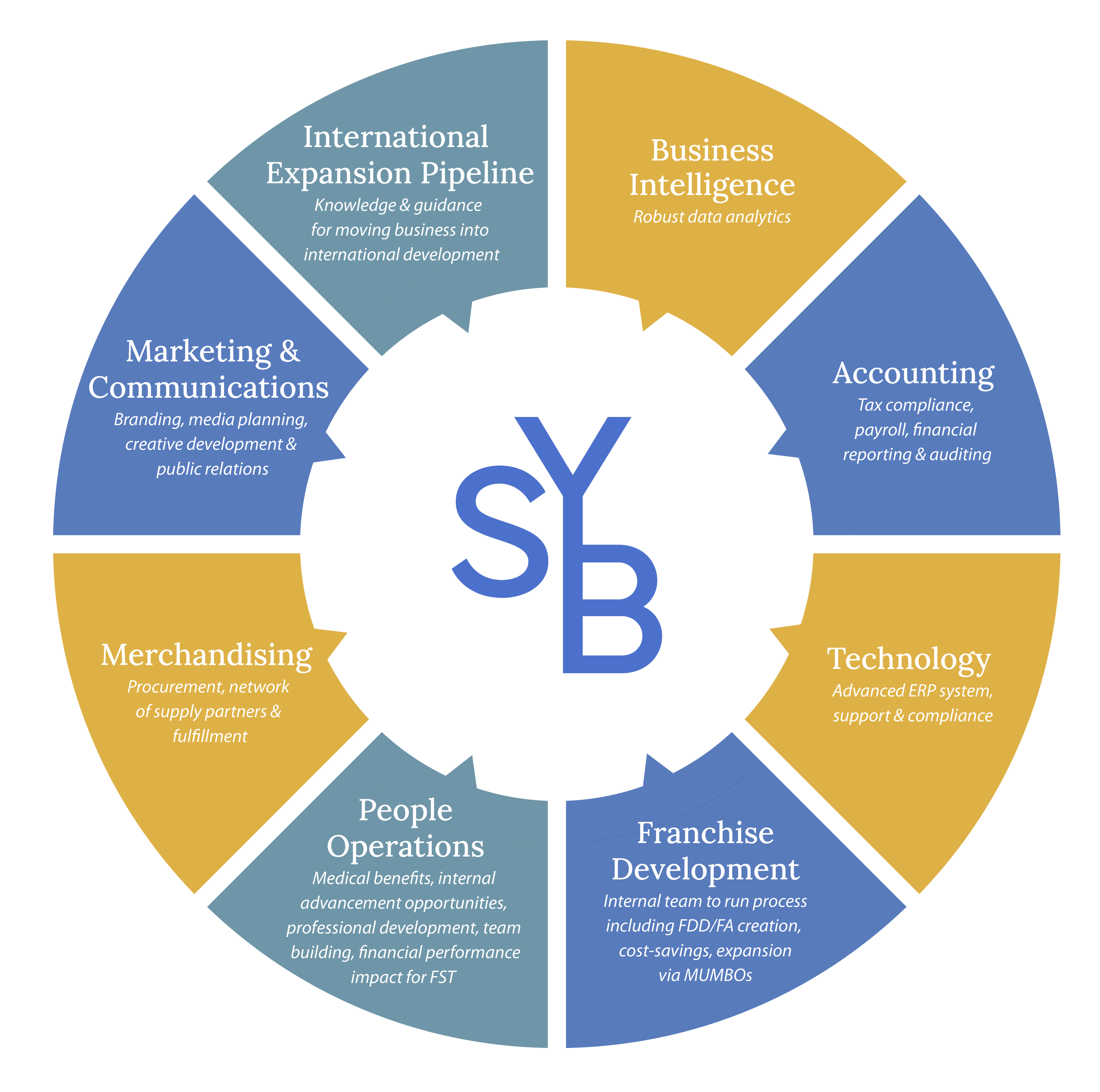 Why SYB? — Stronger Youth Brands