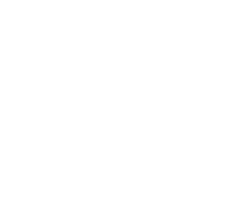 Joint-use Pole Analysis and Permit Administration for Utility Companies