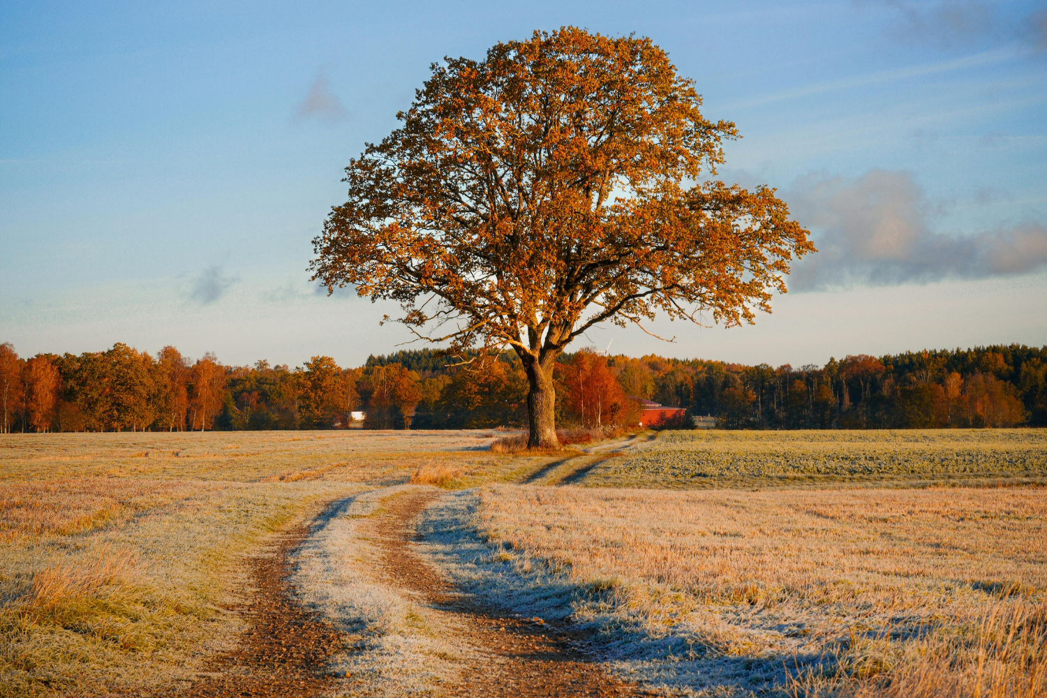 Invisible Patients: What Caregivers Wish the World Understood — Smart ...