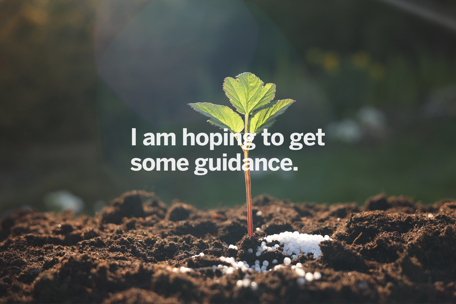 The Long Wait: Life, Fertility, and Uncertainty in Desmoid Tumor Care ...