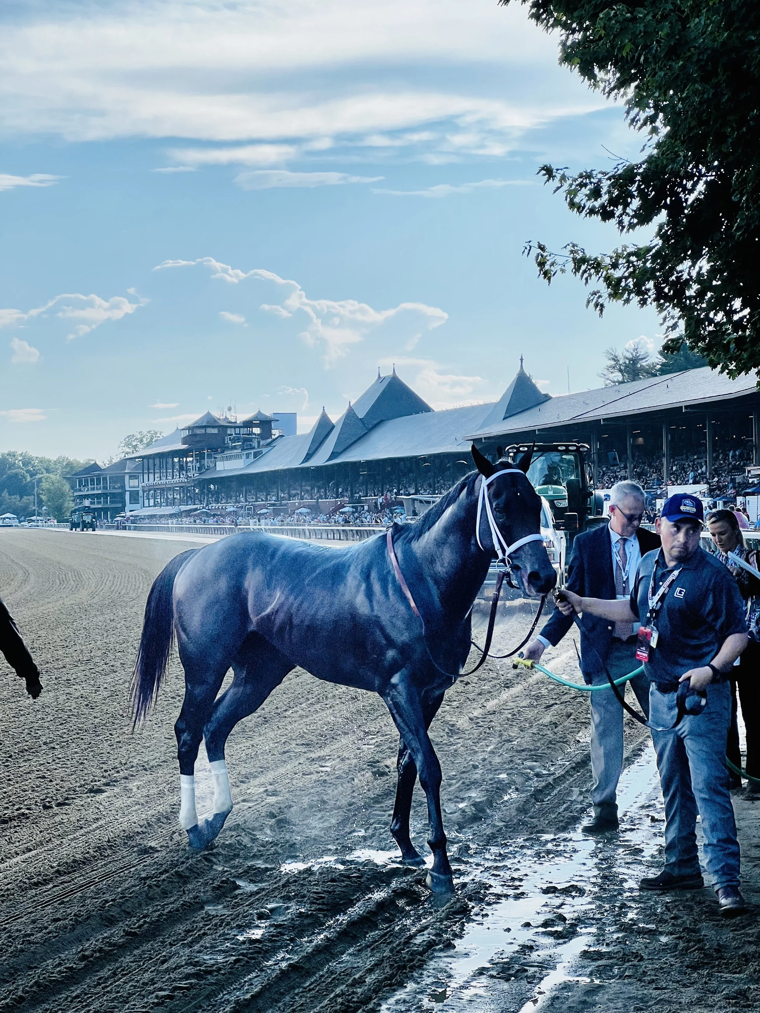 Racing — Horse Haven Racing