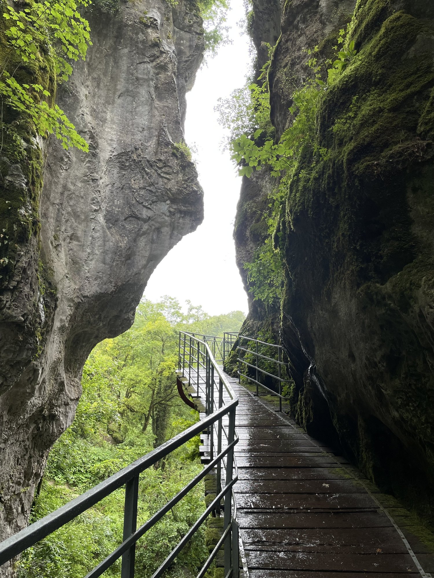 A Visitors Guide to the Gorges du Fier — When In Provence