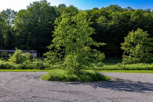 GBR Landscape | Naturalistic Landscape Design