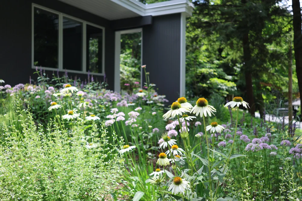 GBR Landscape | Naturalistic Landscape Design