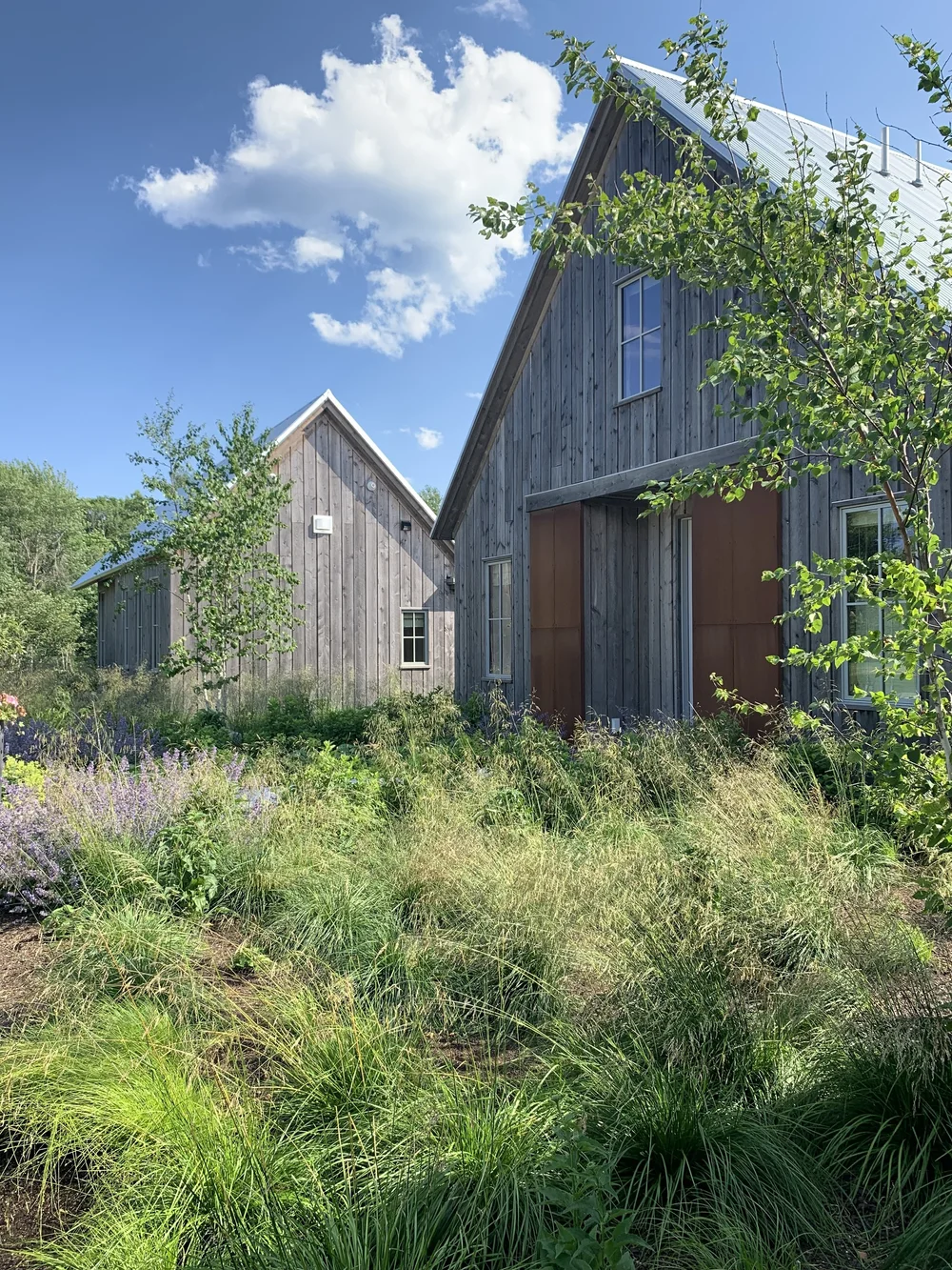 GBR Landscape | Naturalistic Landscape Design