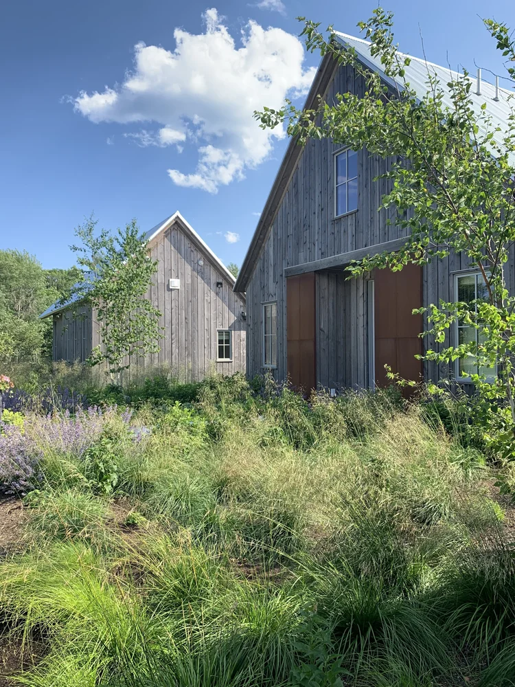 GBR Landscape | Naturalistic Landscape Design