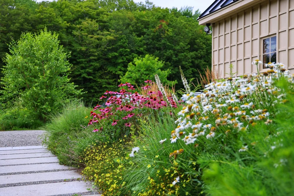 GBR Landscape | Naturalistic Landscape Design