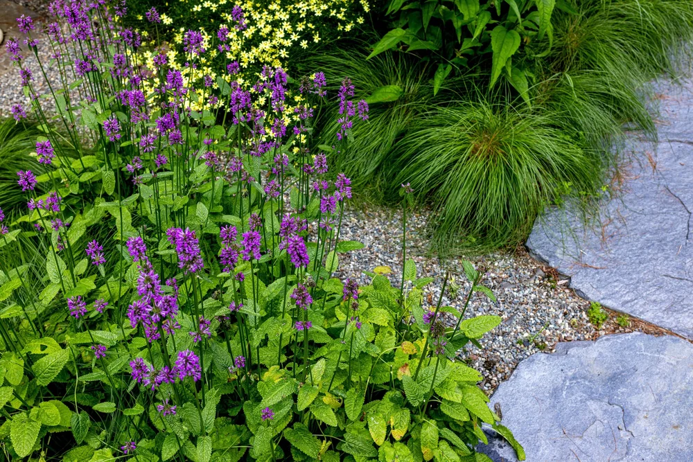 GBR Landscape | Naturalistic Landscape Design