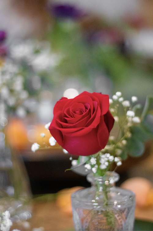 Services — The Flower Shack