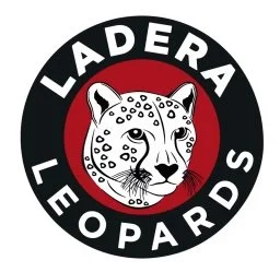 Sensofly Inc - Drone Training and Services