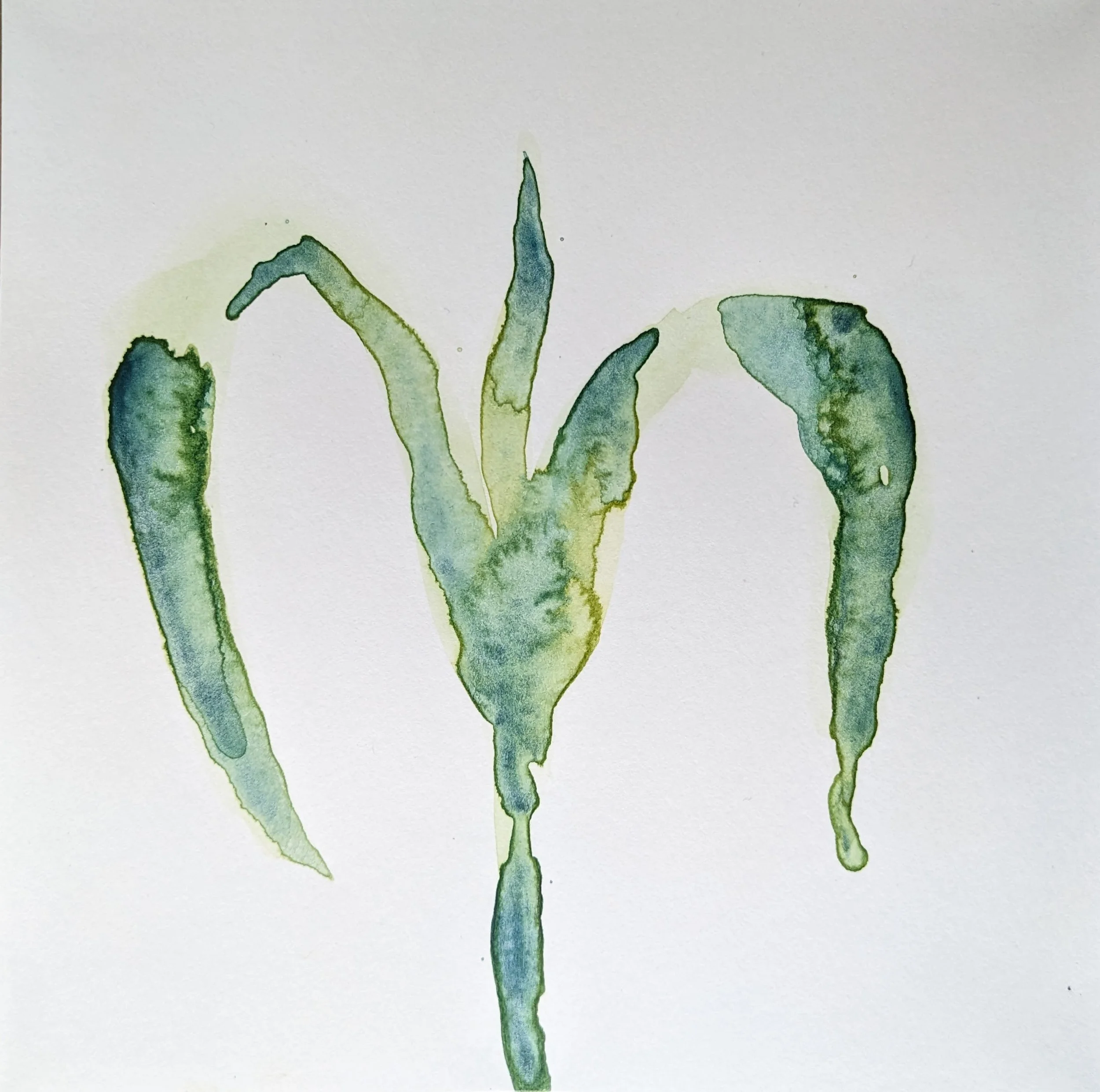 Available Works — Jamie Hurst