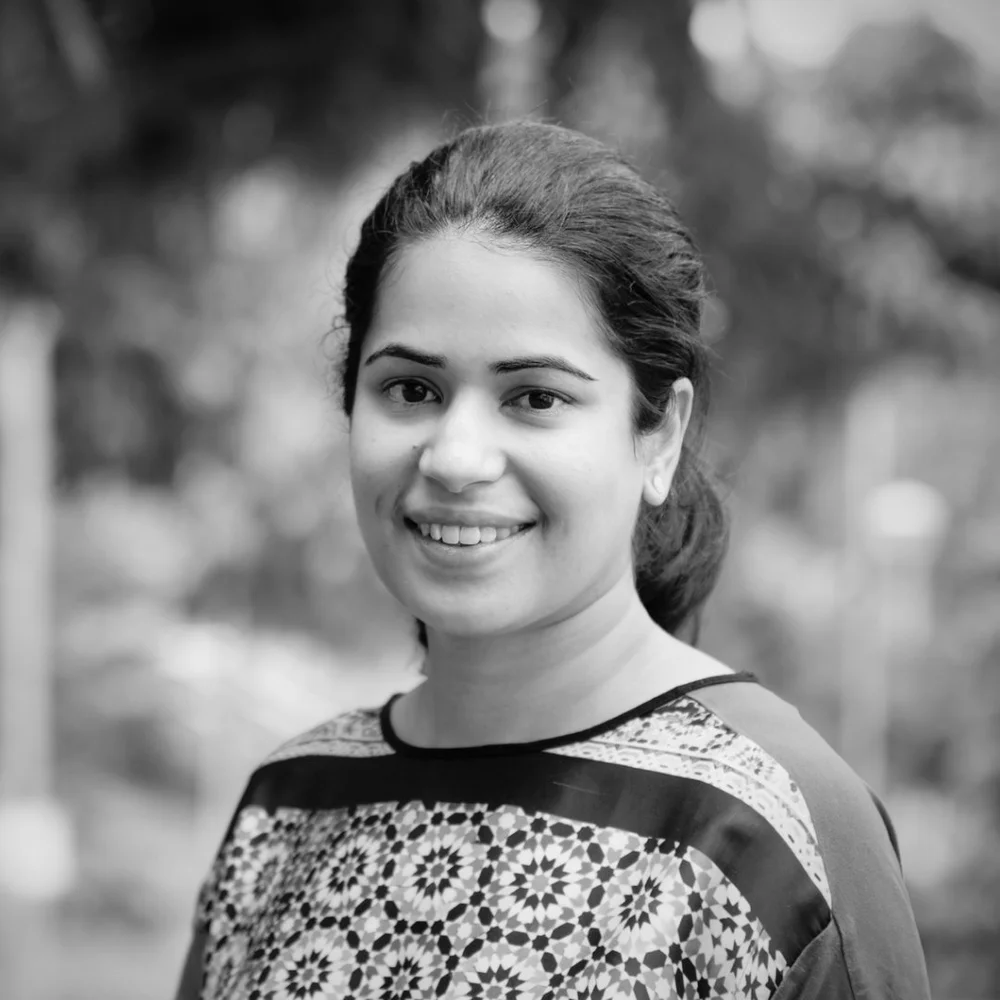 Our team — Insitor