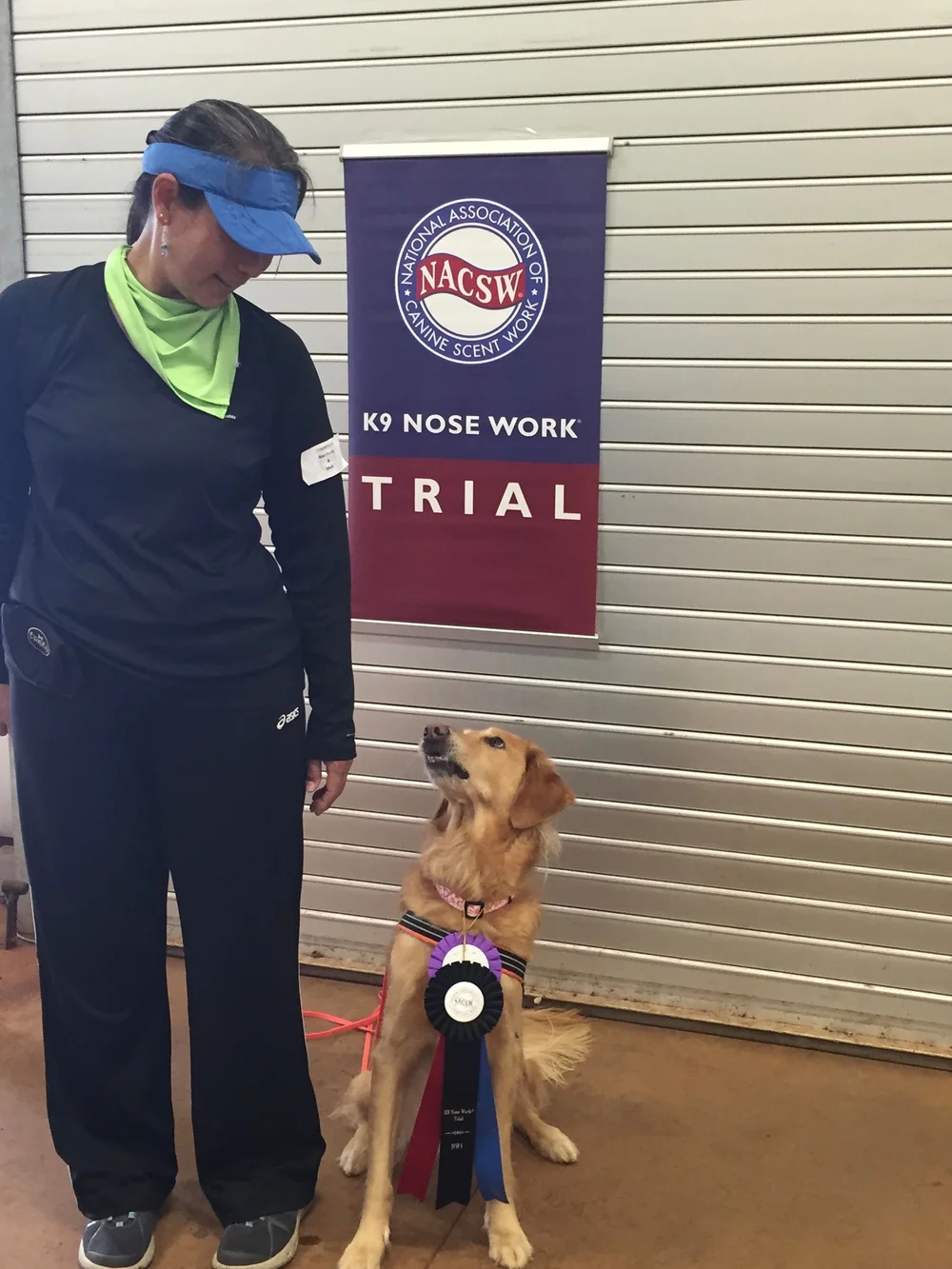 Our Dog Training Team — Scot's K9 Dog Training Hawaii