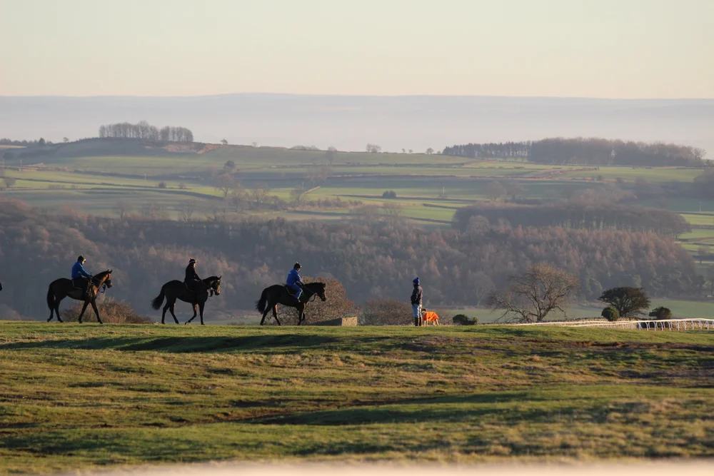 Gallery — HORTON RACING