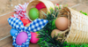Hide-and-Seek Easter Egg Hunt: How to Plan This Fun Twist — Daisies in ...