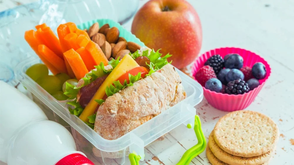 31 Genius Kids’ Lunch Accessories to Make Meals Fun — Daisies in Clover