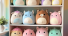 Six Super Squishmallow Storage Solutions for Your Children's Rooms ...