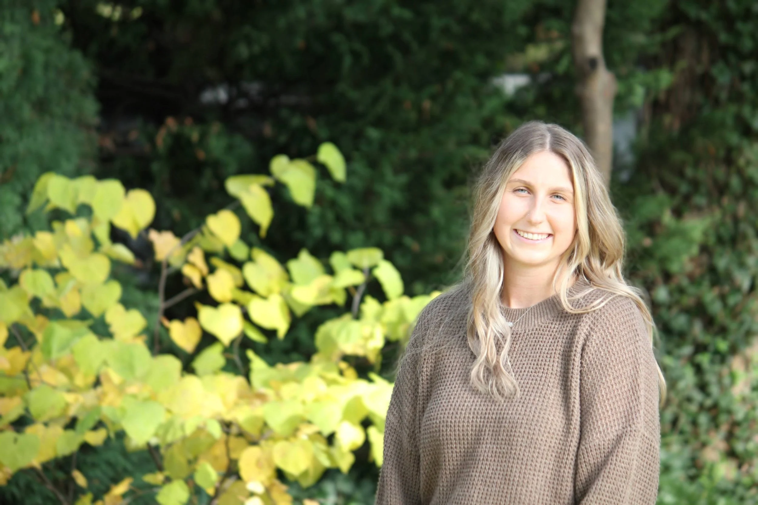 About 1 — Serenity Counseling