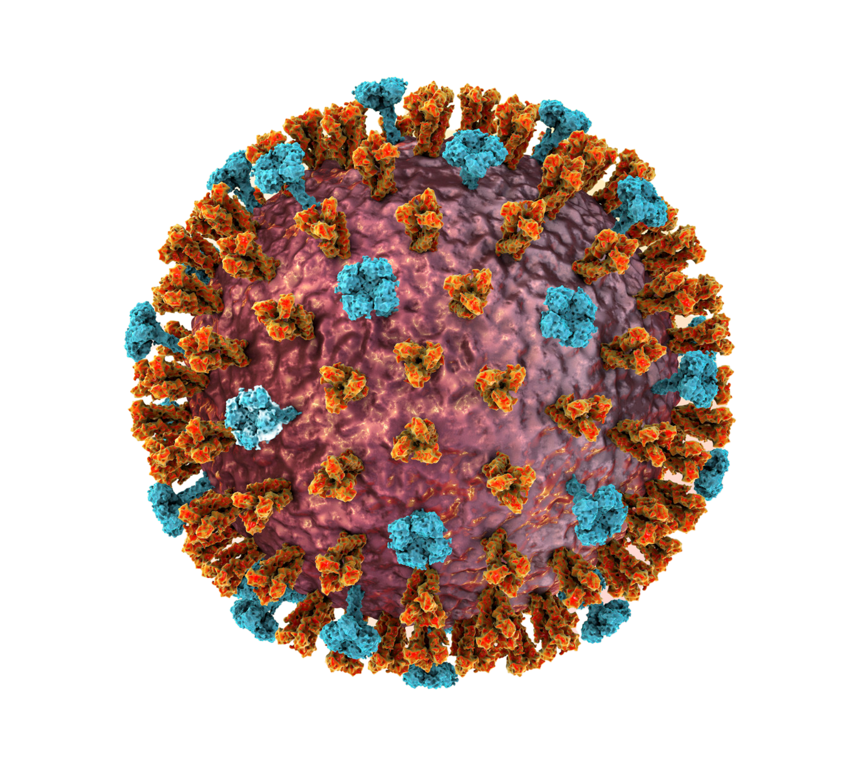 Virus + Diagnostics — The Virus Plus⁺ Lab