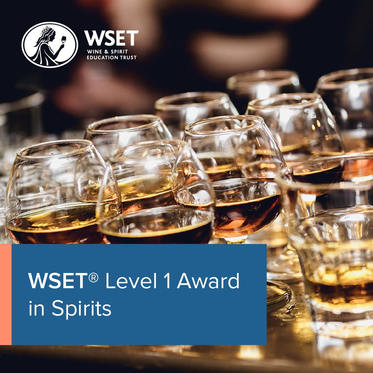 WSET Classes — SEBEVED- Southeastern Beverage Education
