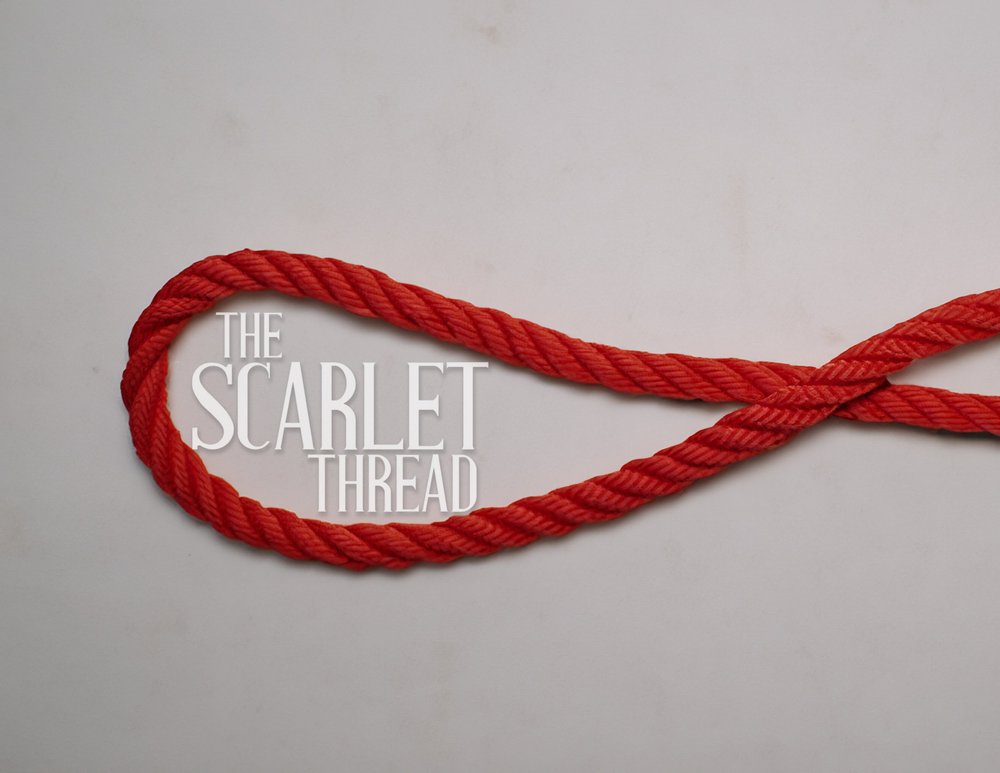 Simpler Bible - Courses — Simpler Bible