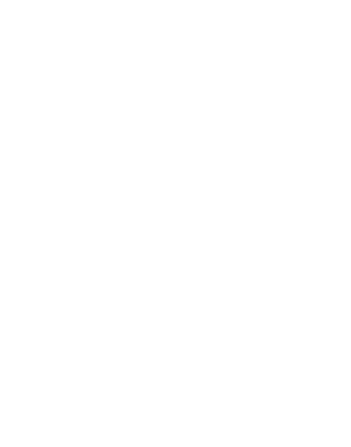 THE WHITE LINE