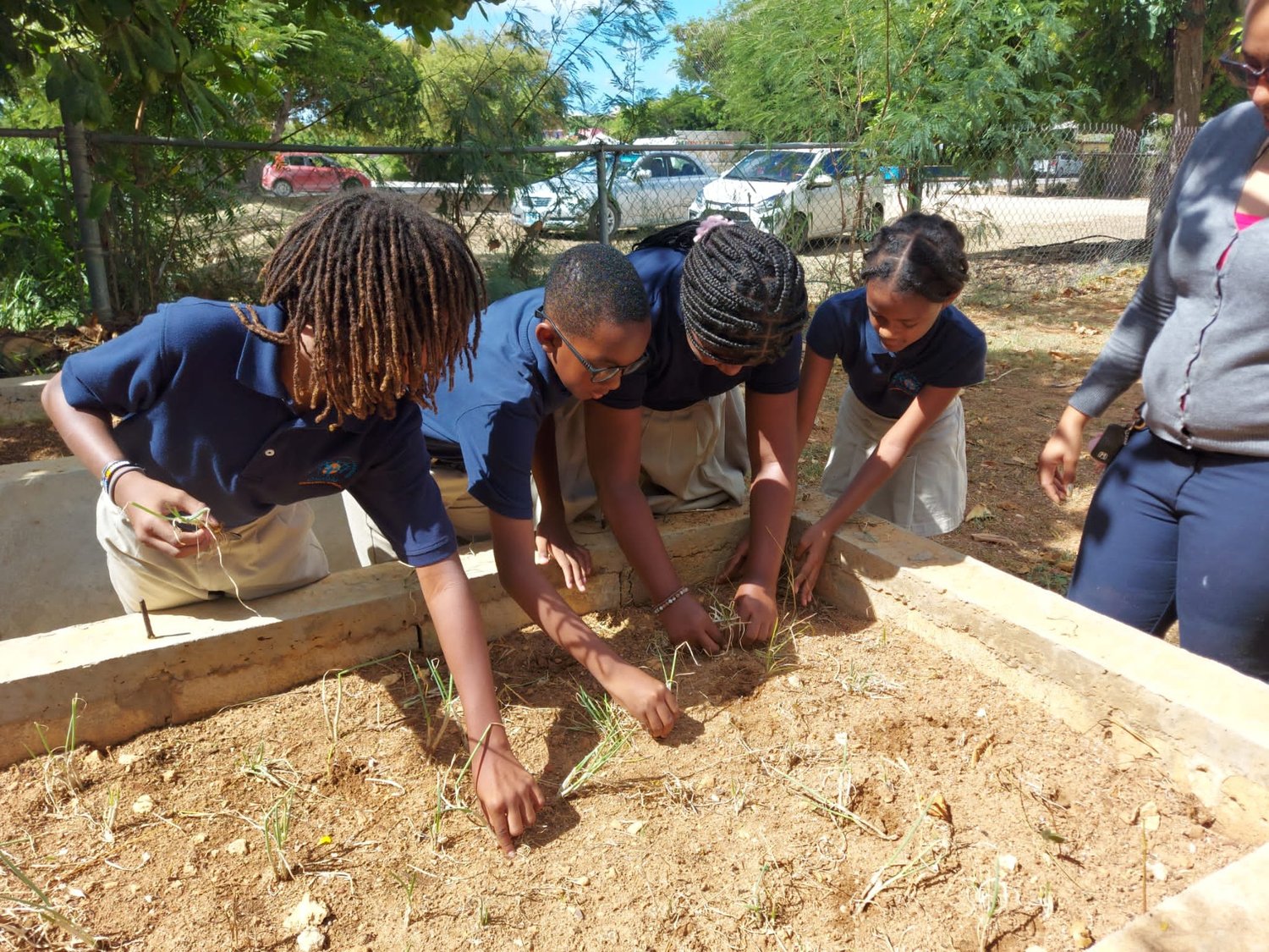 Register your child for school in Anguilla — OMOLOLU INTERNATIONAL SCHOOL