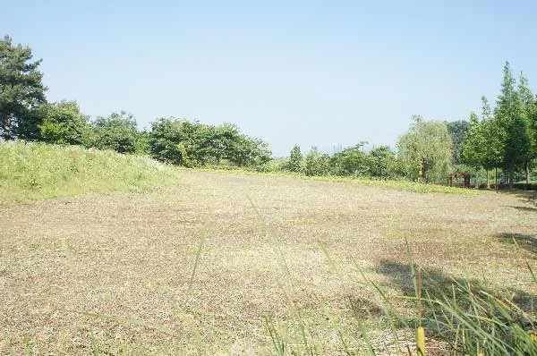 Carolina Premier Inspections