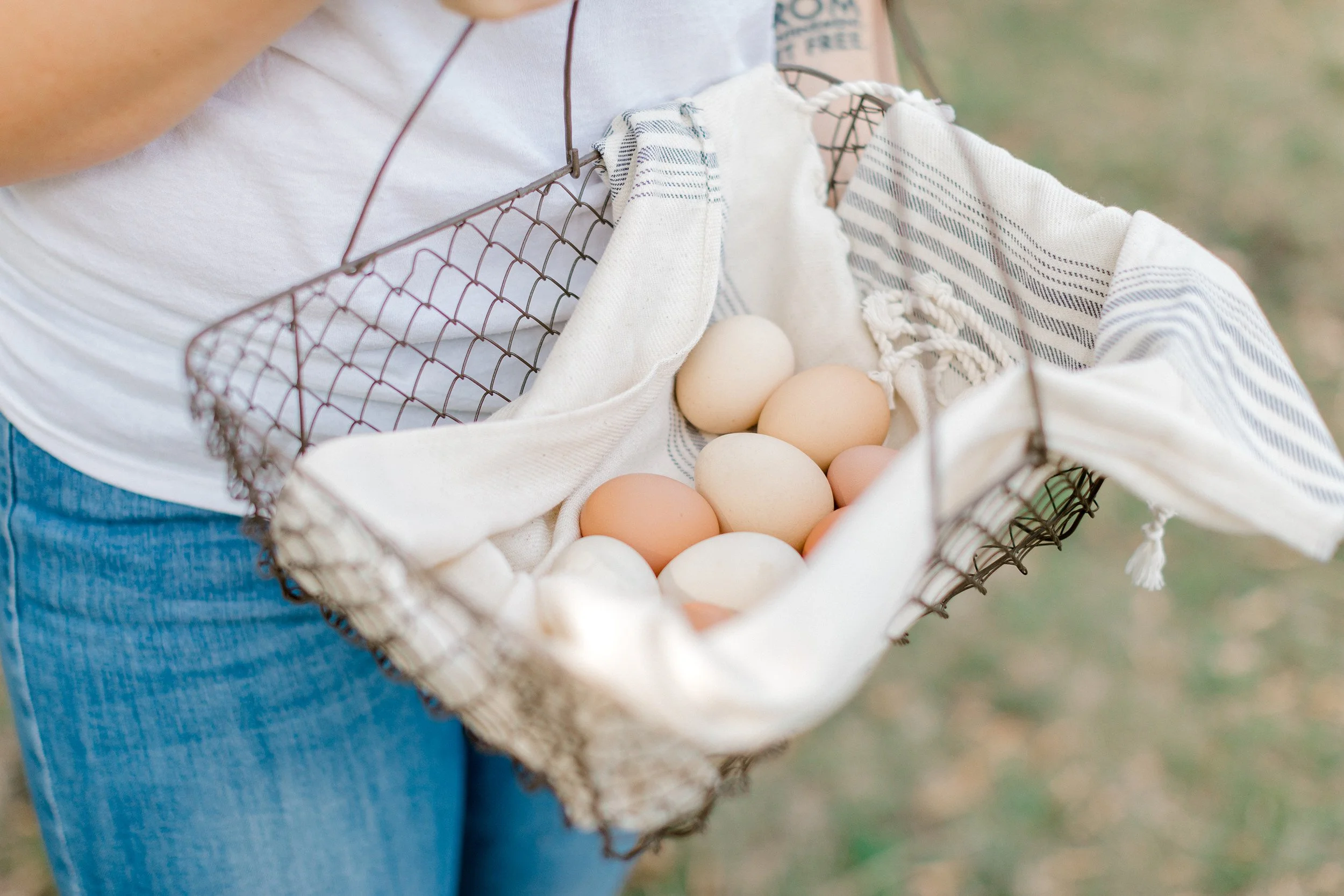 Products | Raw Milk | Chicken Eggs | Microgreens | Kombucha — Erickson ...