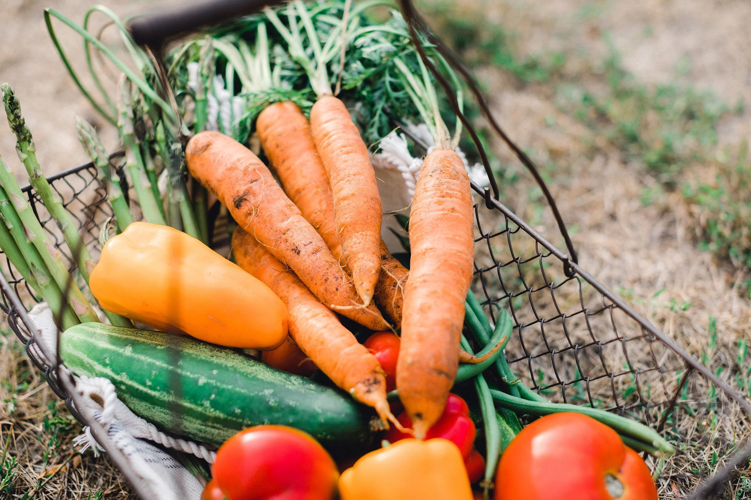 About | Family Owned & Operated — Erickson Farms