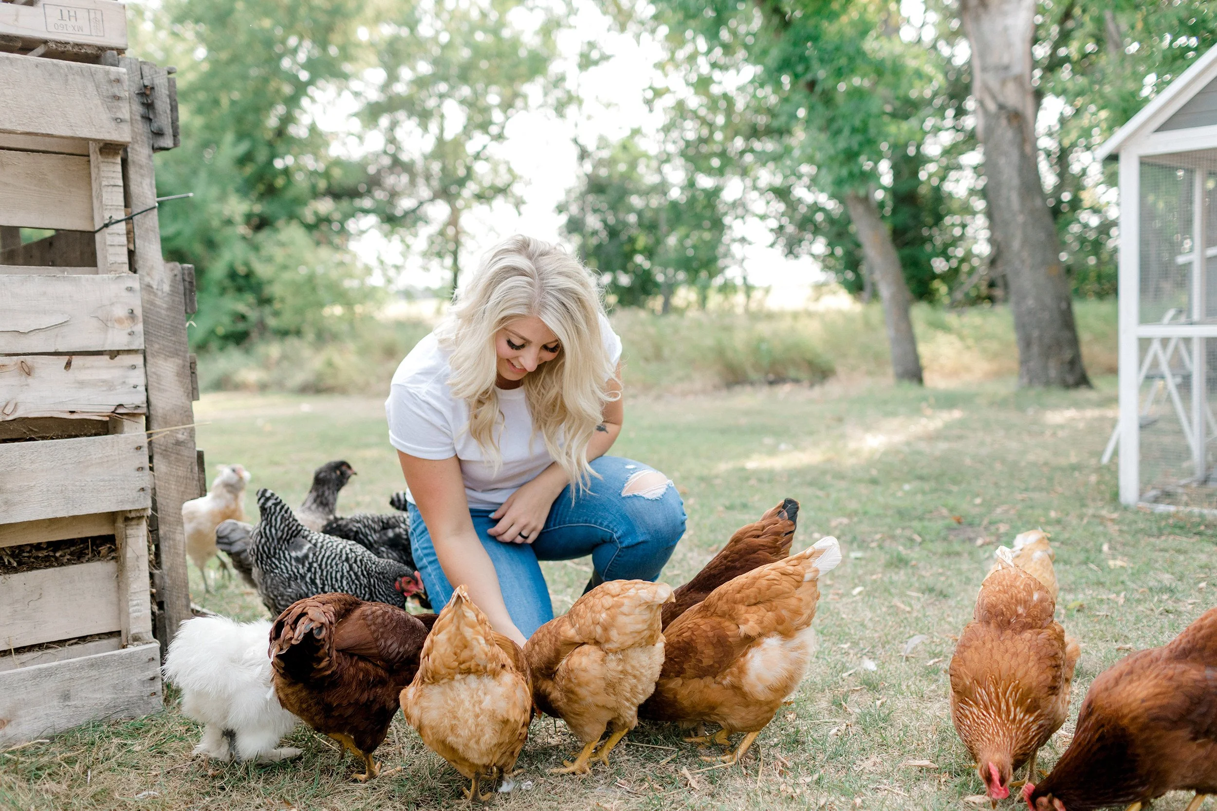 Erickson Farms | A2A2 Raw Milk | Chicken Eggs | Microgreens | Kombucha ...