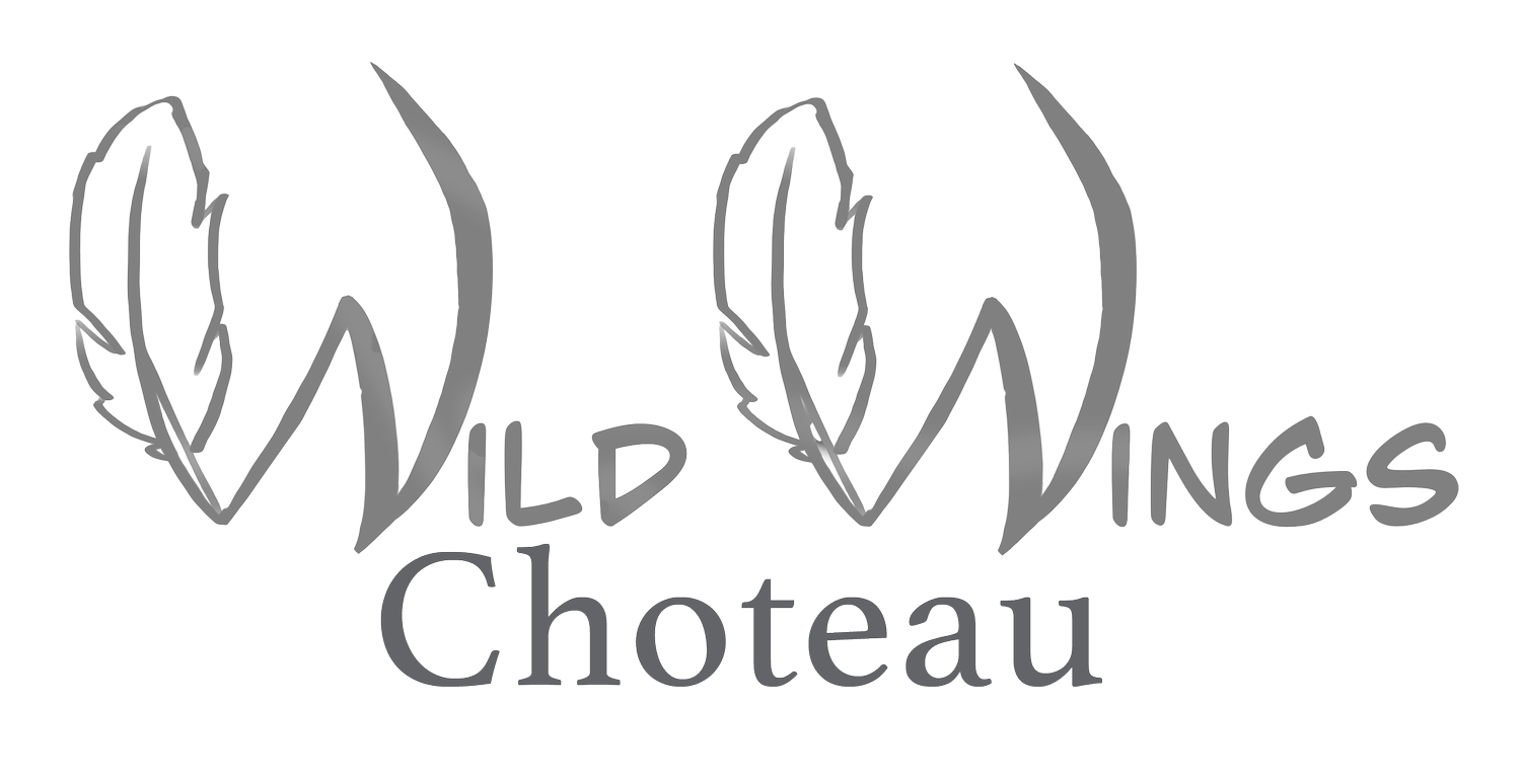 Choteau — Wild Wings Choteau