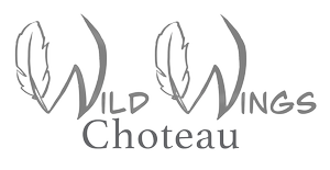 Choteau — Wild Wings Choteau