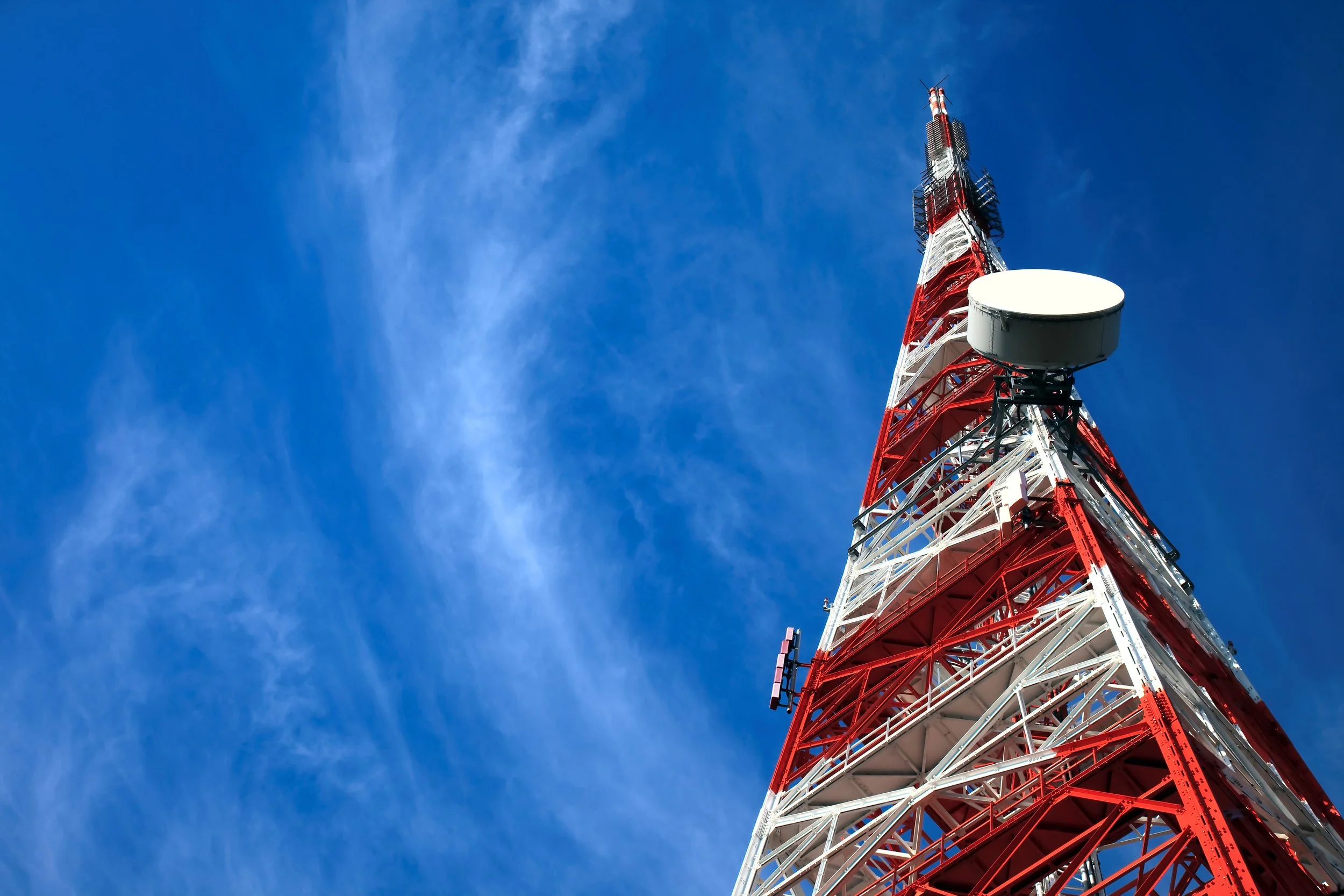 Auton Multicast Broadcast Services